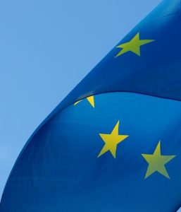 The European Single Electronic Format (ESEF) – An Introduction - MFSA